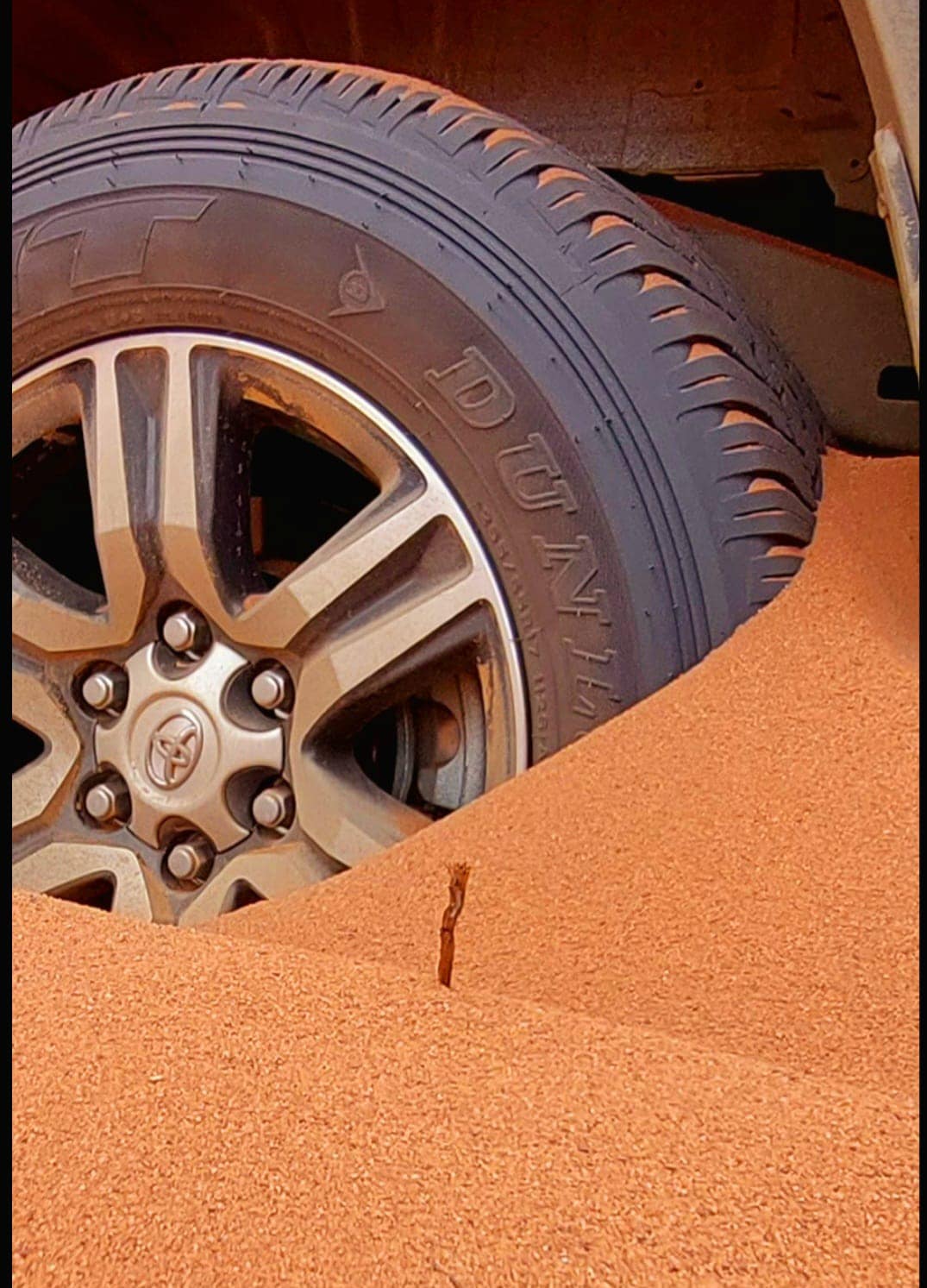 Beyond Driving: Advancing Skills in Neom, Saudi Arabia | Beyond Driving