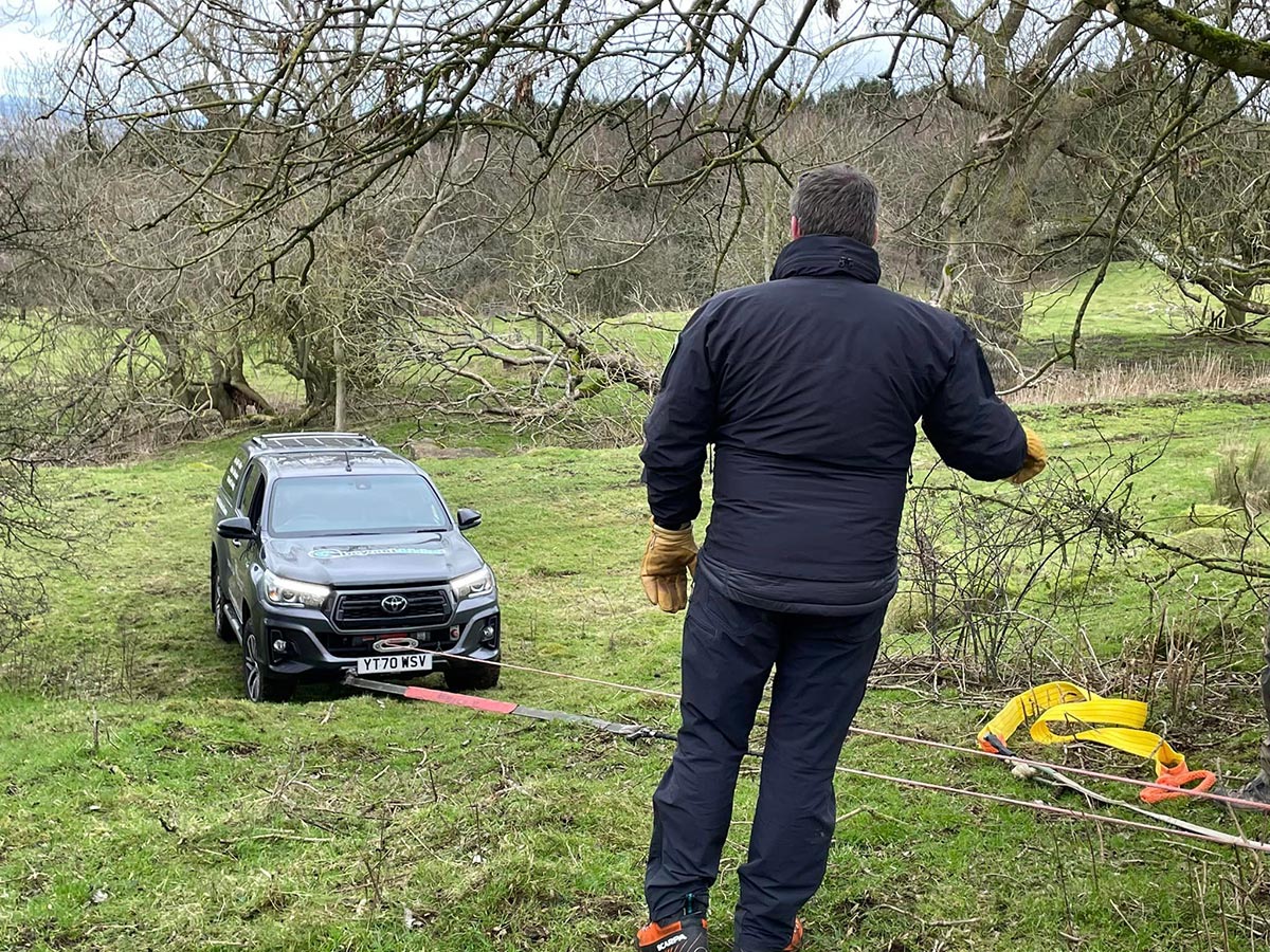 Nurturing Excellence: Beyond Driving's Commitment to Continuing ...